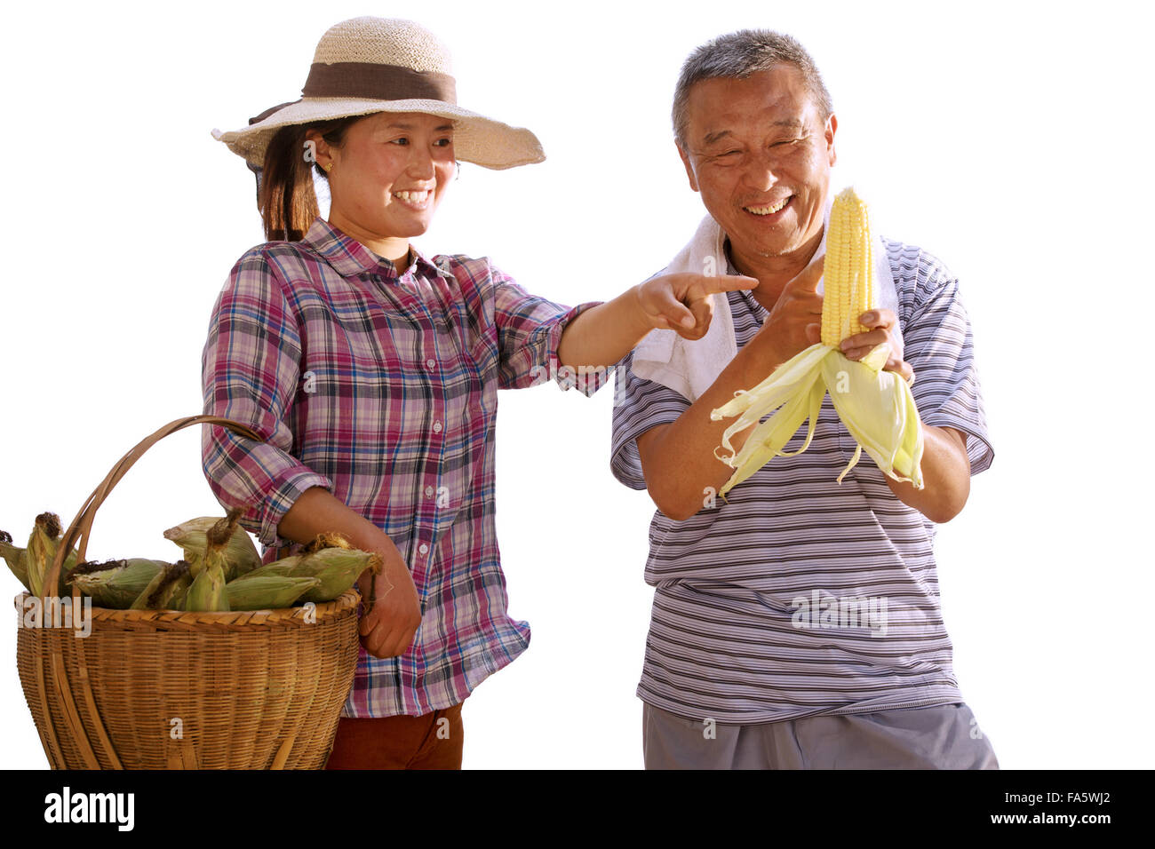 Farmers take corn Stock Photo - Alamy