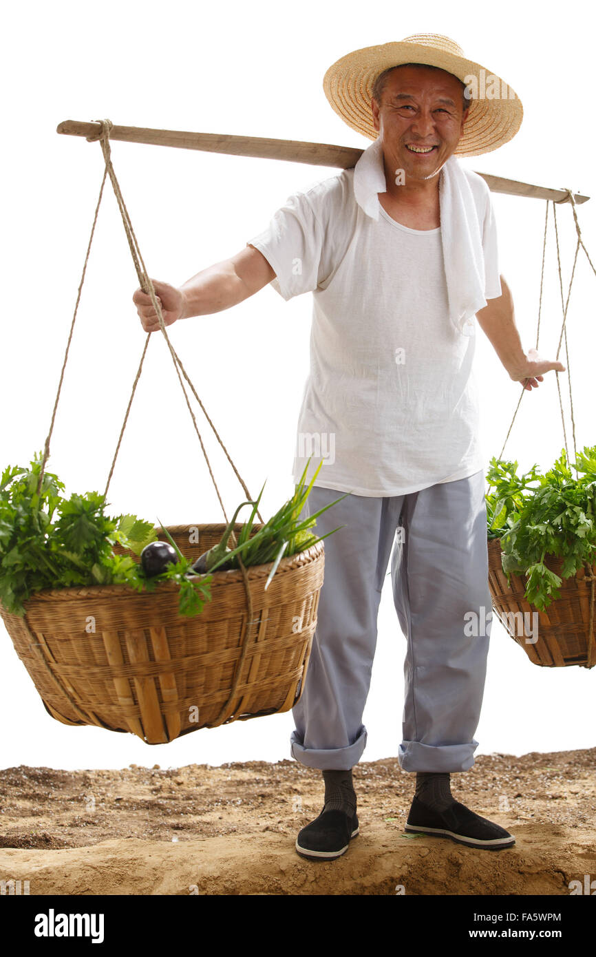 Farmers picking vegetables Stock Photo - Alamy