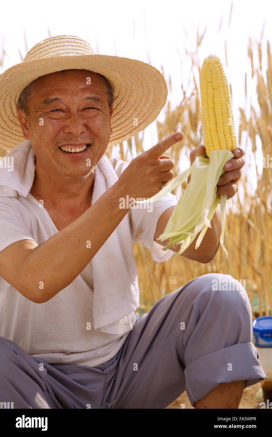 Farmers take corn Stock Photo - Alamy