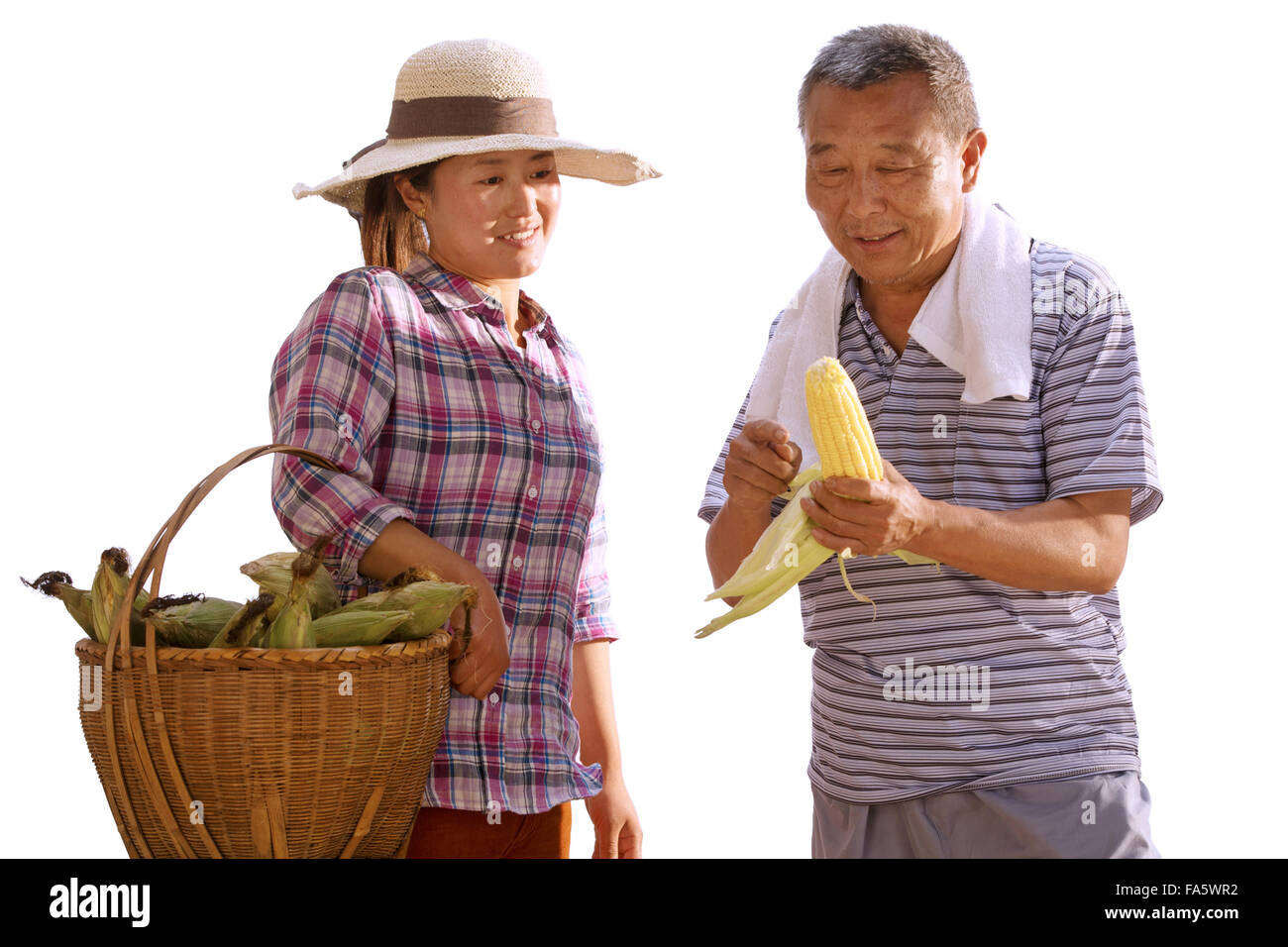 Farmers take corn Stock Photo - Alamy