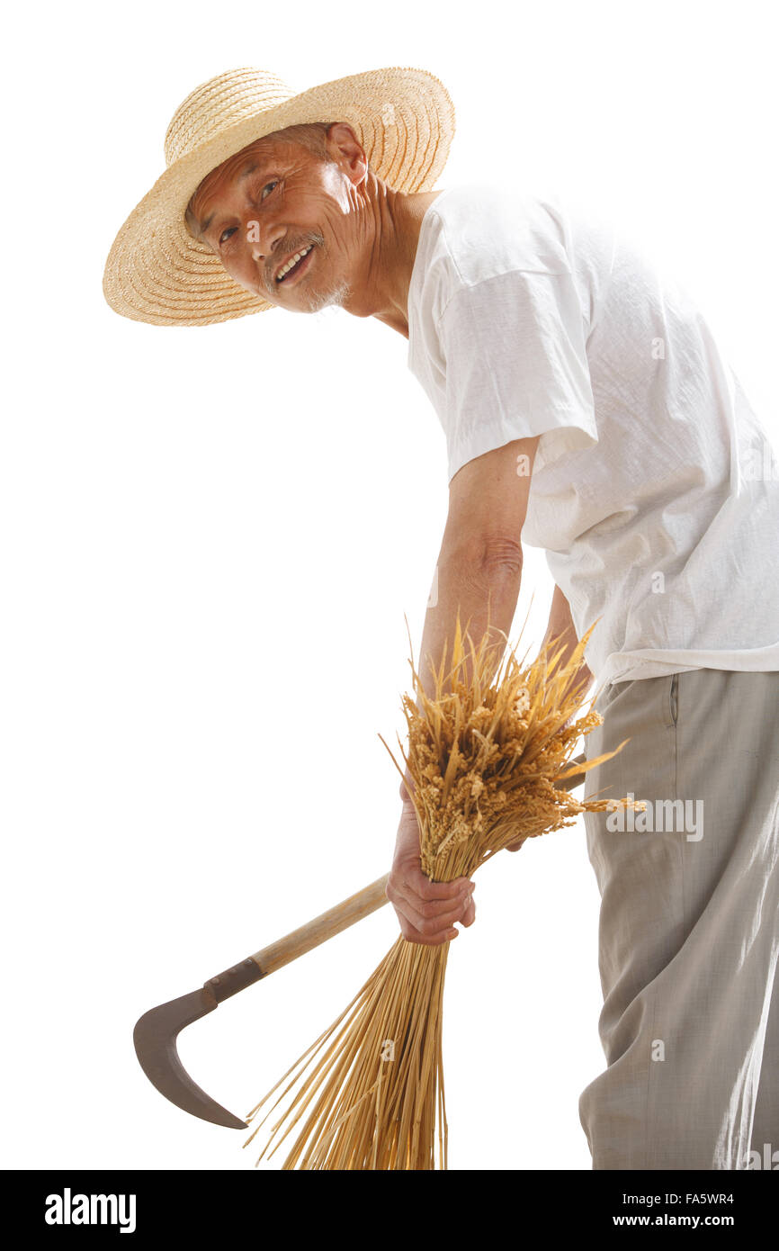 Farmers cut wheat Stock Photo - Alamy