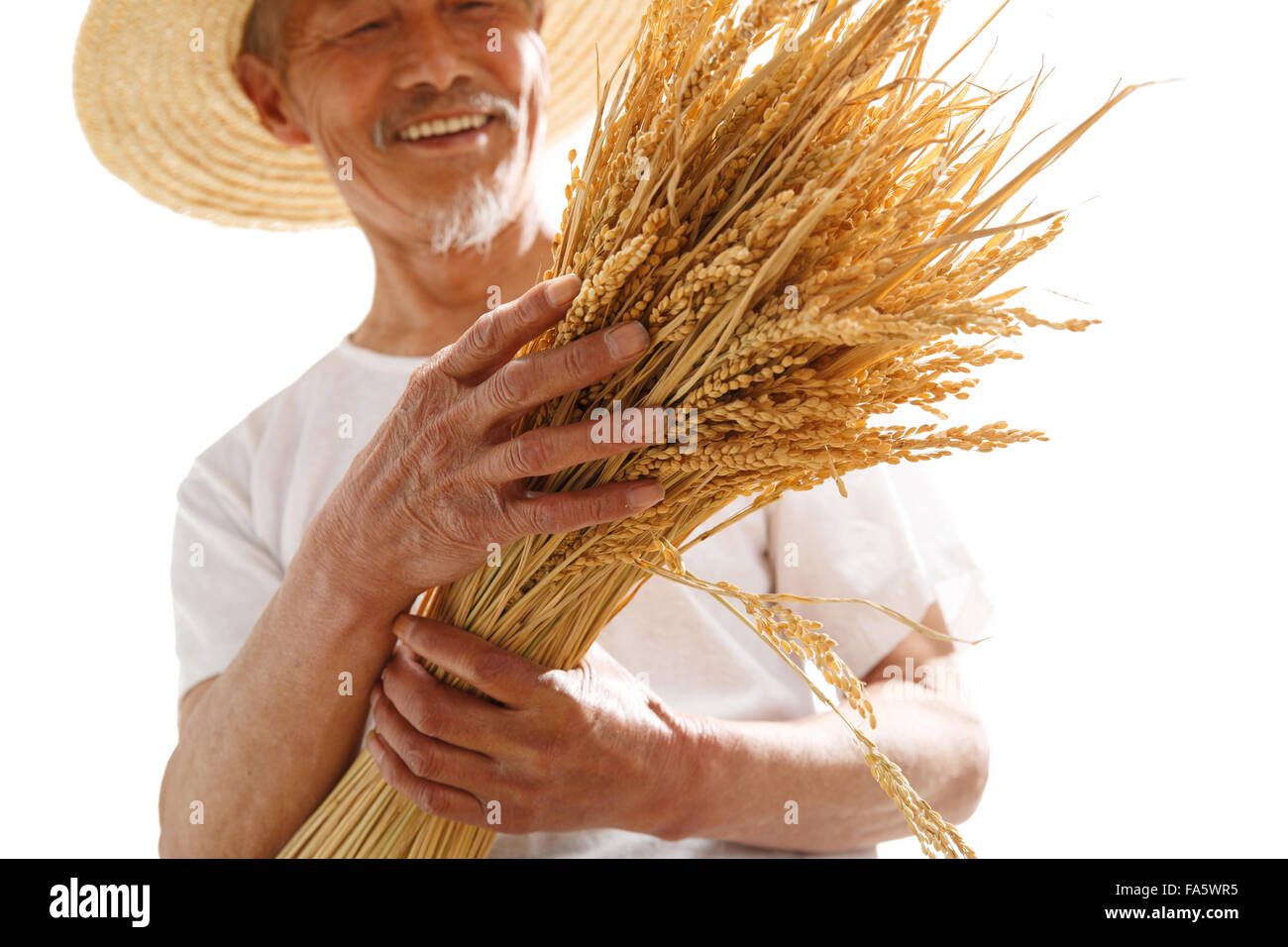 The farmer took rice Stock Photo - Alamy