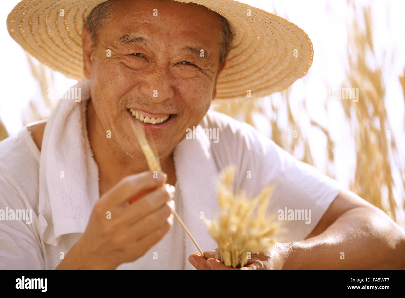 Farmers eating in field hi-res stock photography and images - Alamy