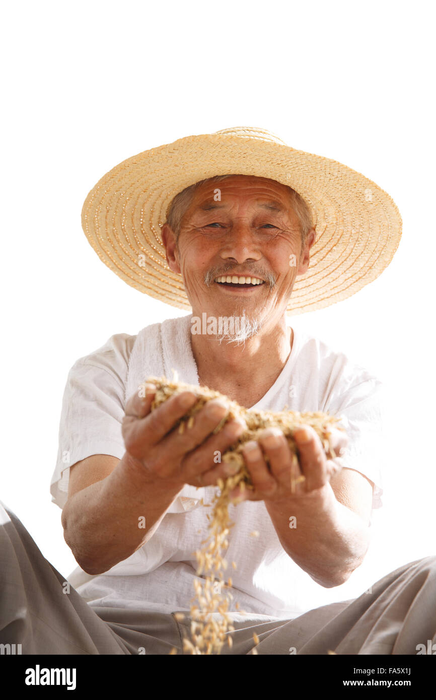 Old farmers holding the rice Stock Photo - Alamy