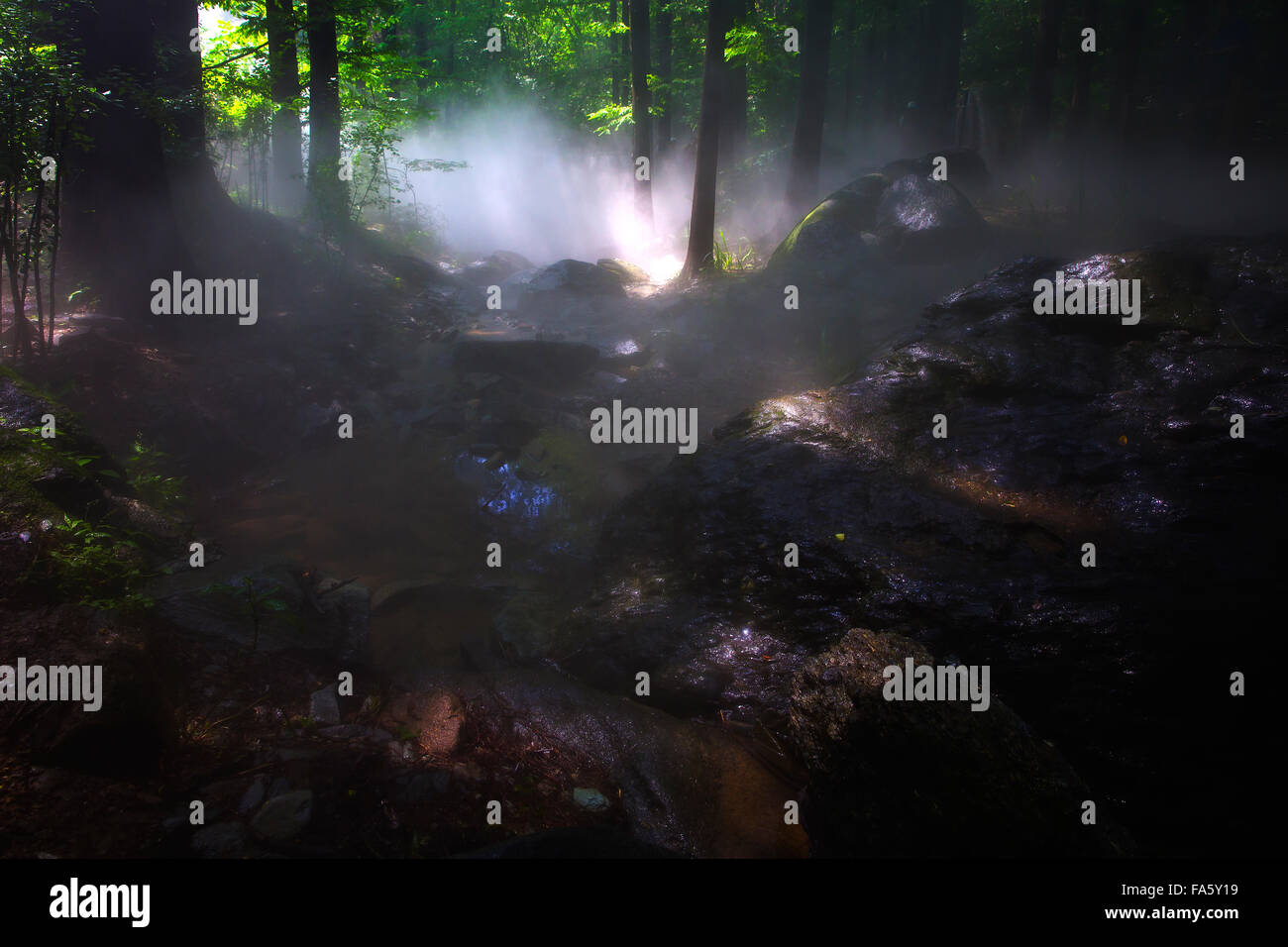 Cherry tree hill reserve hi-res stock photography and images - Alamy