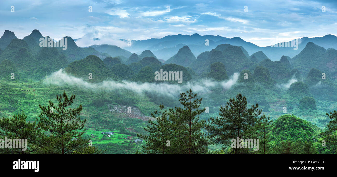 Guangdong china grass tree hi-res stock photography and images - Alamy