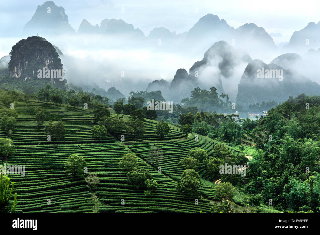 Yingde city guangdong province in hi-res stock photography and images ...