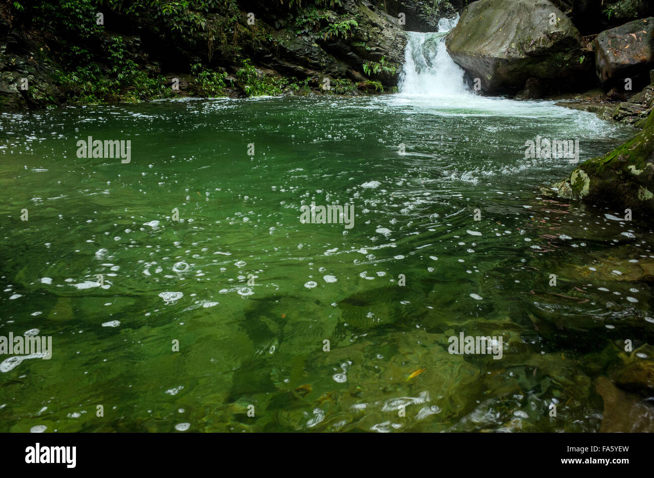 Valley Of A Thousand Falls High Resolution Stock Photography and Images ...