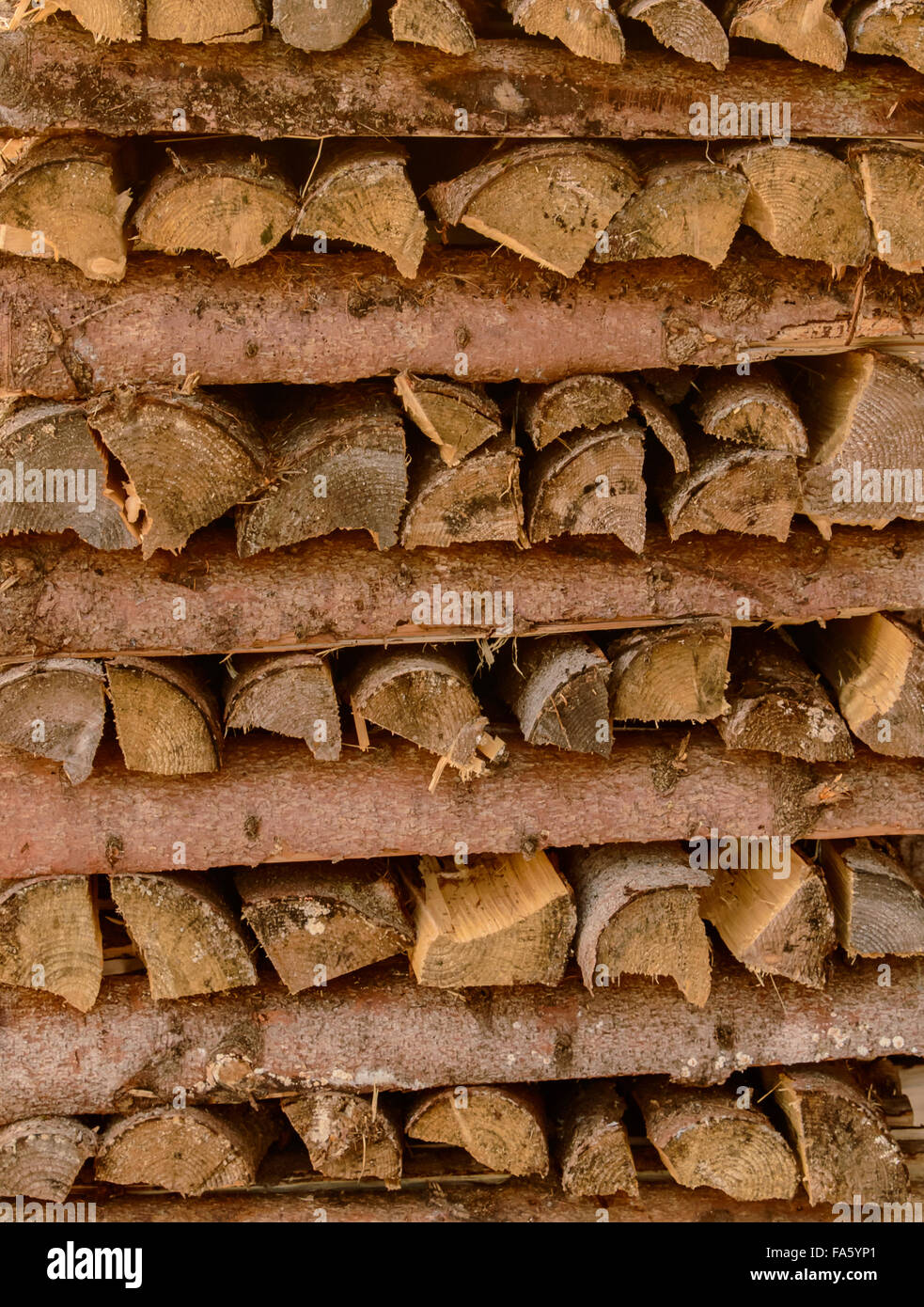 Gather firewood hi-res stock photography and images - Alamy