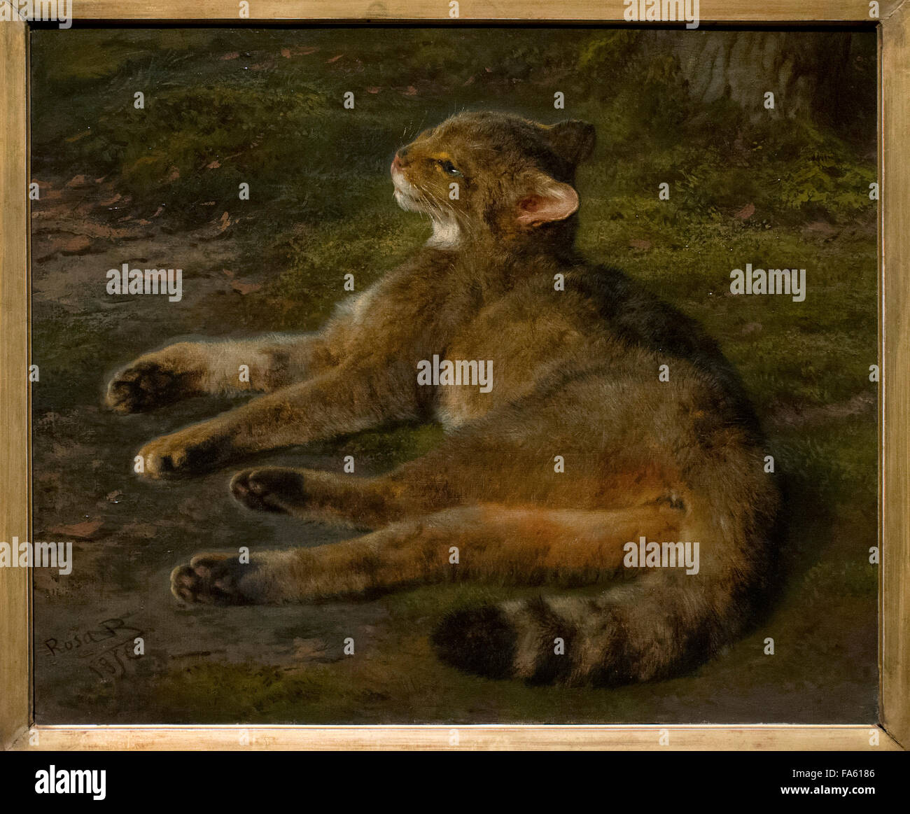 Rosa Bonheur (1822-1899). French painter. Wild Cat, 1850. National ...