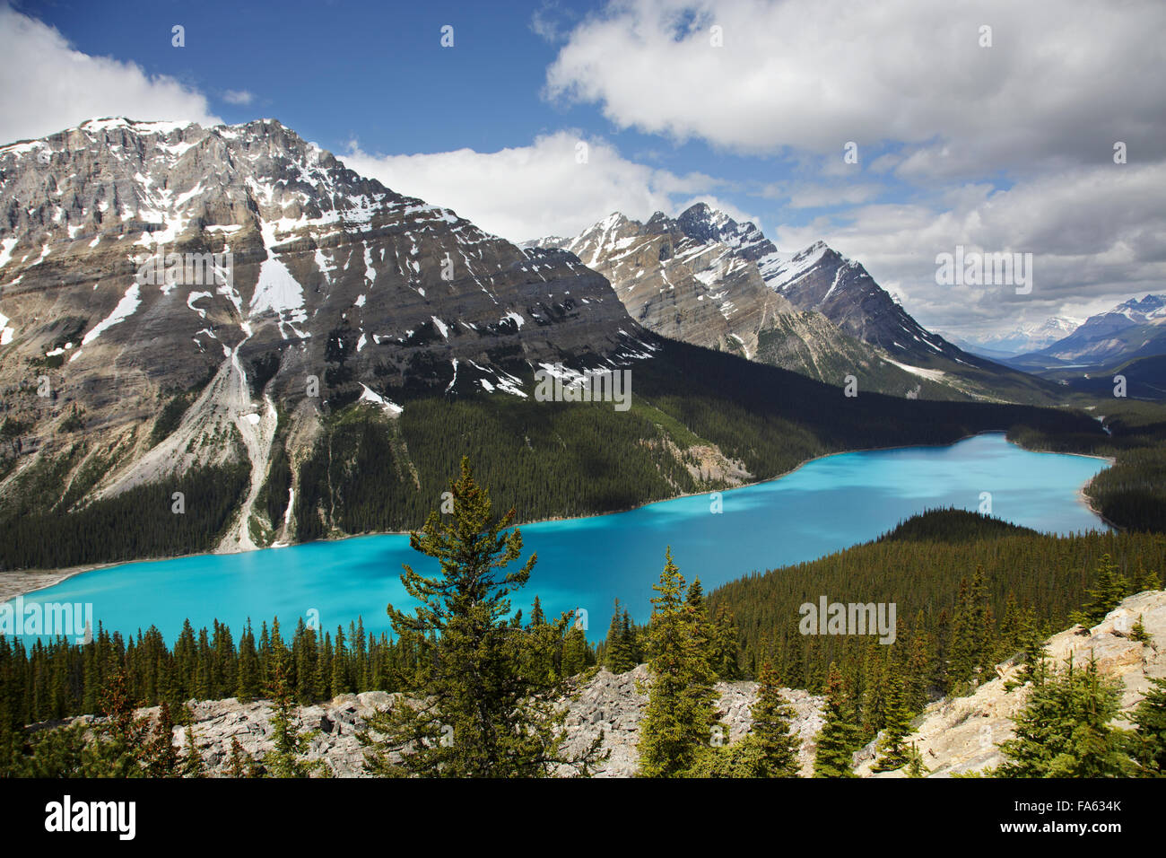 Peyto Lake, Lake, mountains, Canadian Rockies, summer, forest ...