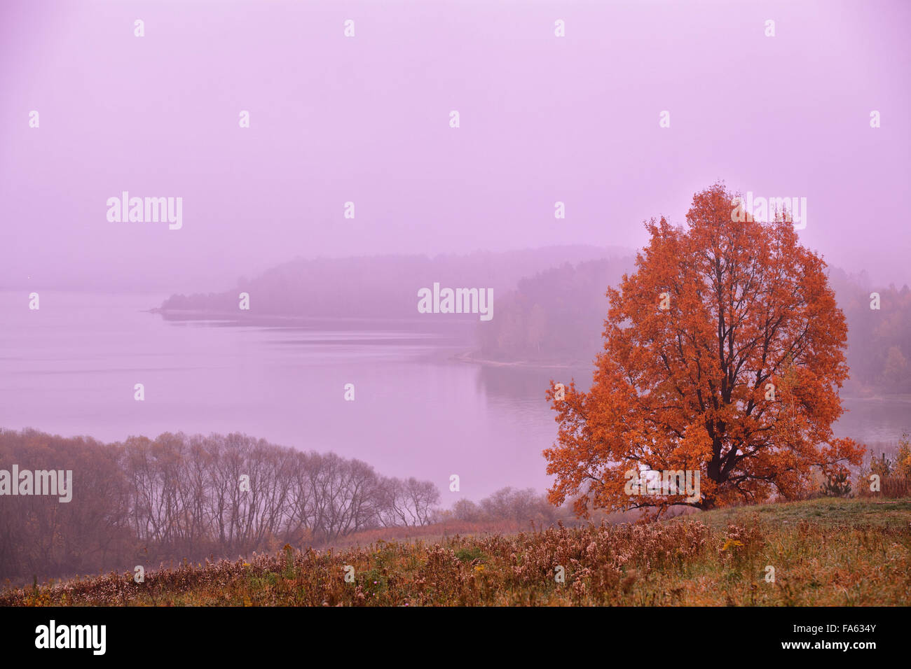 October dawn. Autumn morning. Fall colours. Indian summer Stock Photo ...