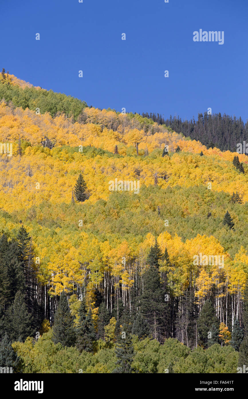 No colors hi-res stock photography and images - Alamy