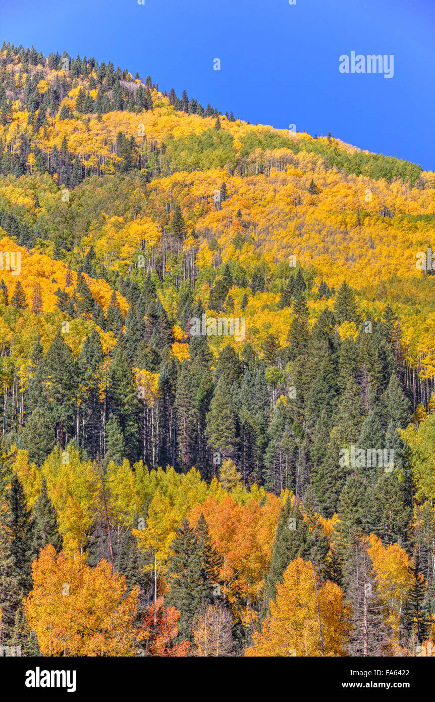Person with fall colors hi-res stock photography and images - Alamy