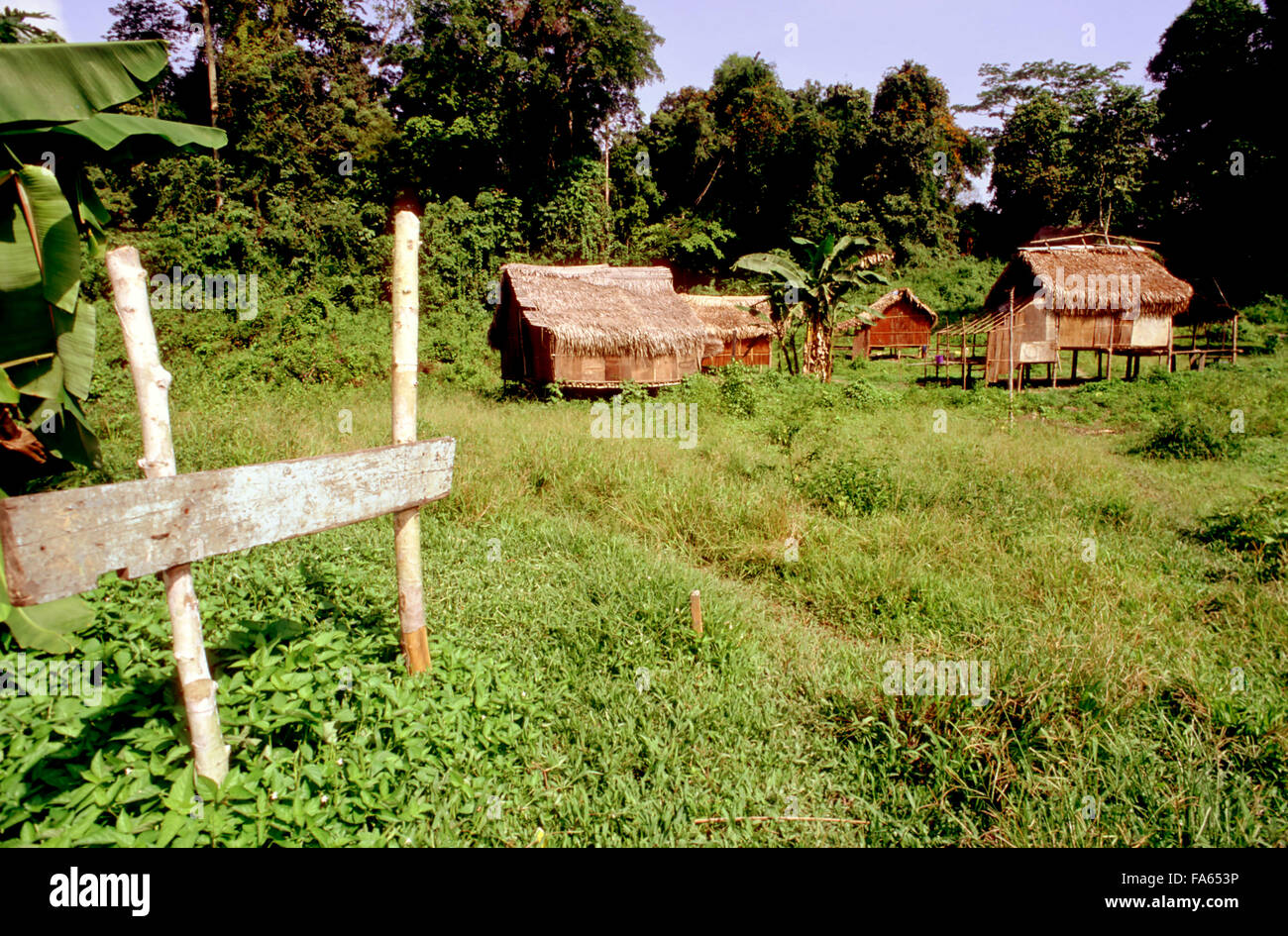 Orang Asli tribe in Taman Negara National Park in central Malaysia ...