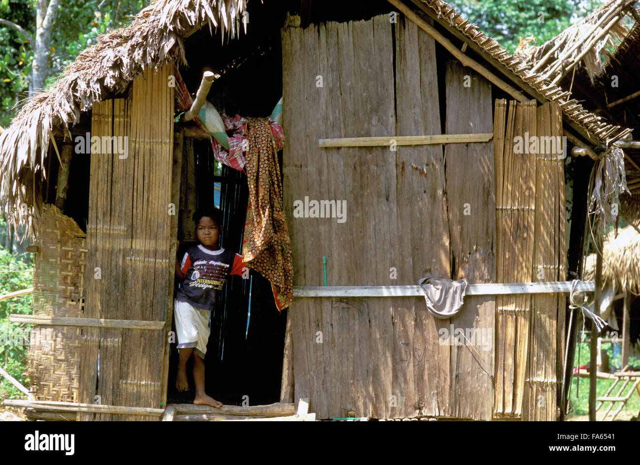 Taman negara batek hi-res stock photography and images - Alamy