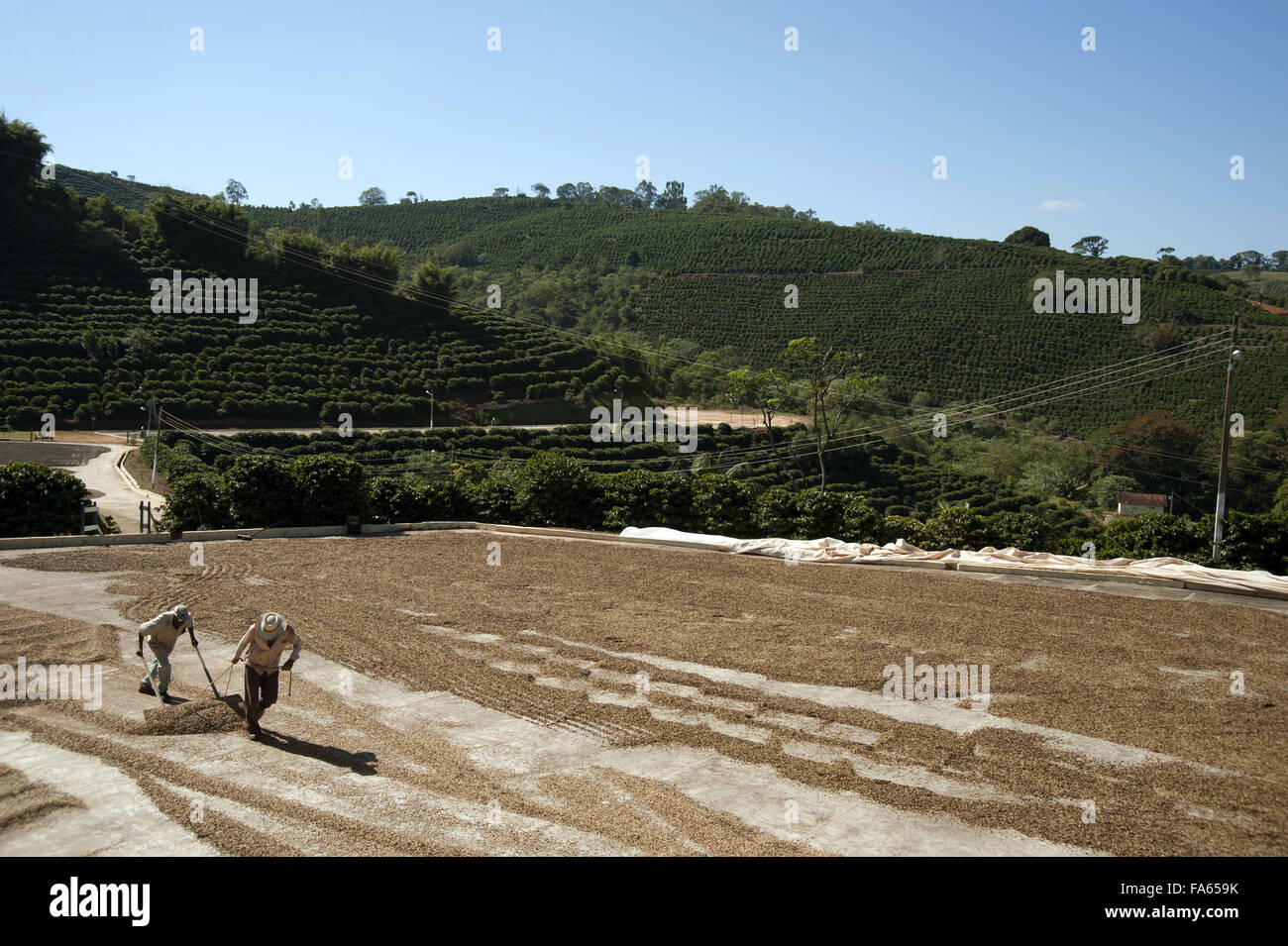 Sun drying beans hi-res stock photography and images - Alamy