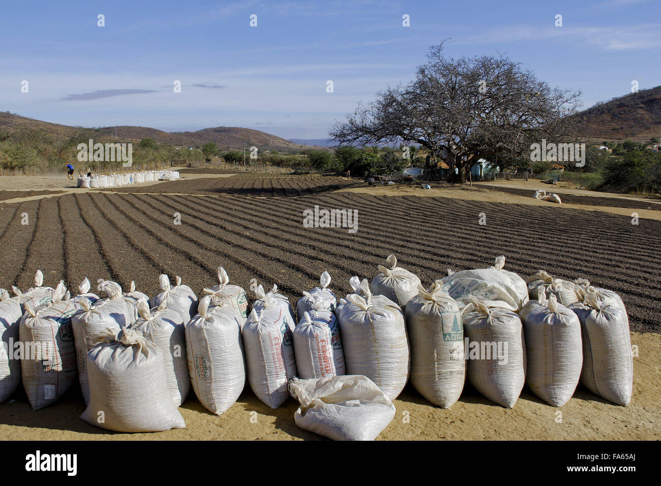Sacks cafe hi-res stock photography and images - Alamy