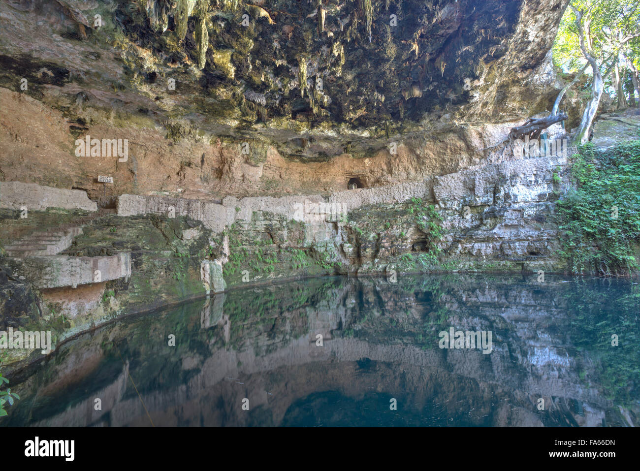 Cenote Zaci, Valladolid, Yucatan, Mexico Stock Photo - Alamy