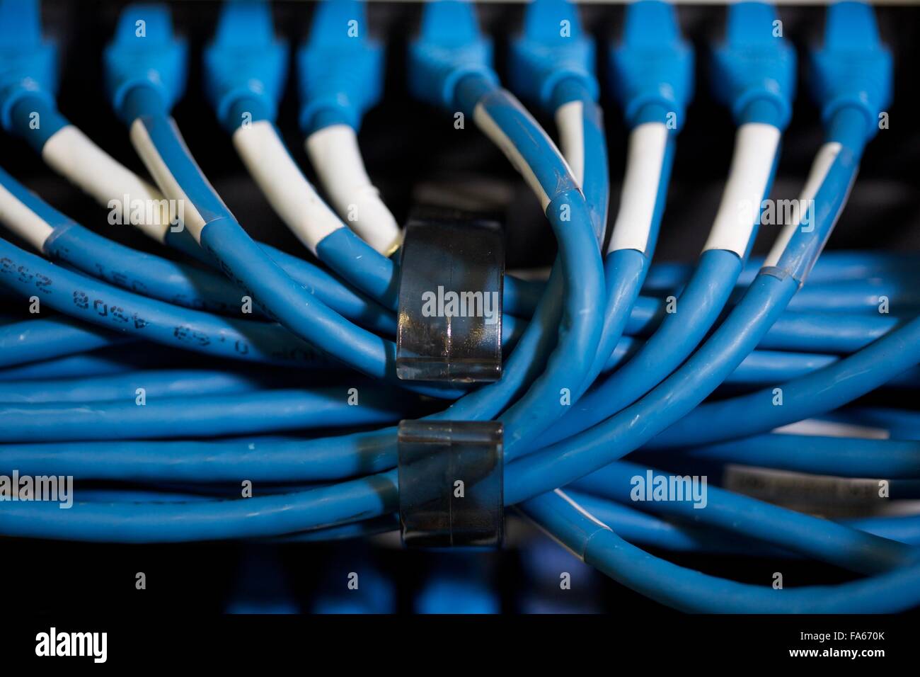 close up shot of server and cables in a server room Stock Photo - Alamy
