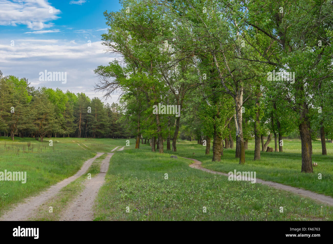 Spring landscape with earth road and path in central Ukraine Stock ...