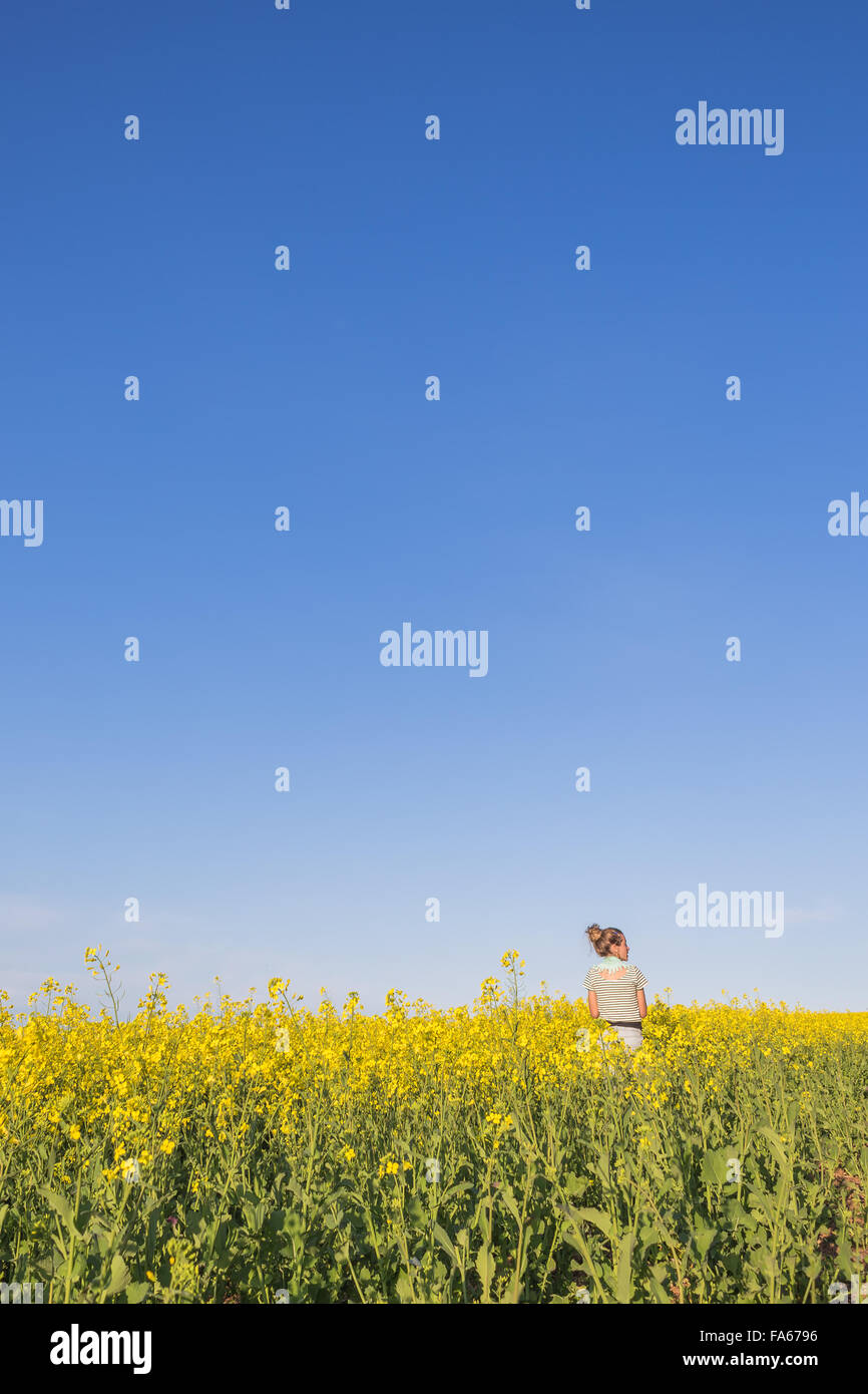 Rear view of a girl standing in canola field, Perth, Western Australia ...