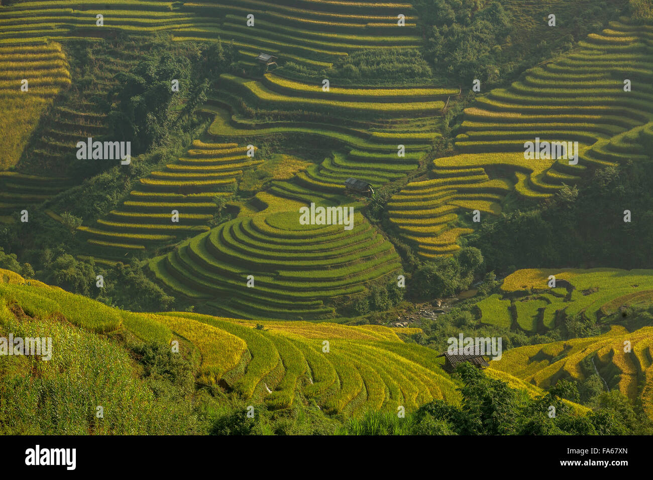 Tiered rice fields hi-res stock photography and images - Alamy