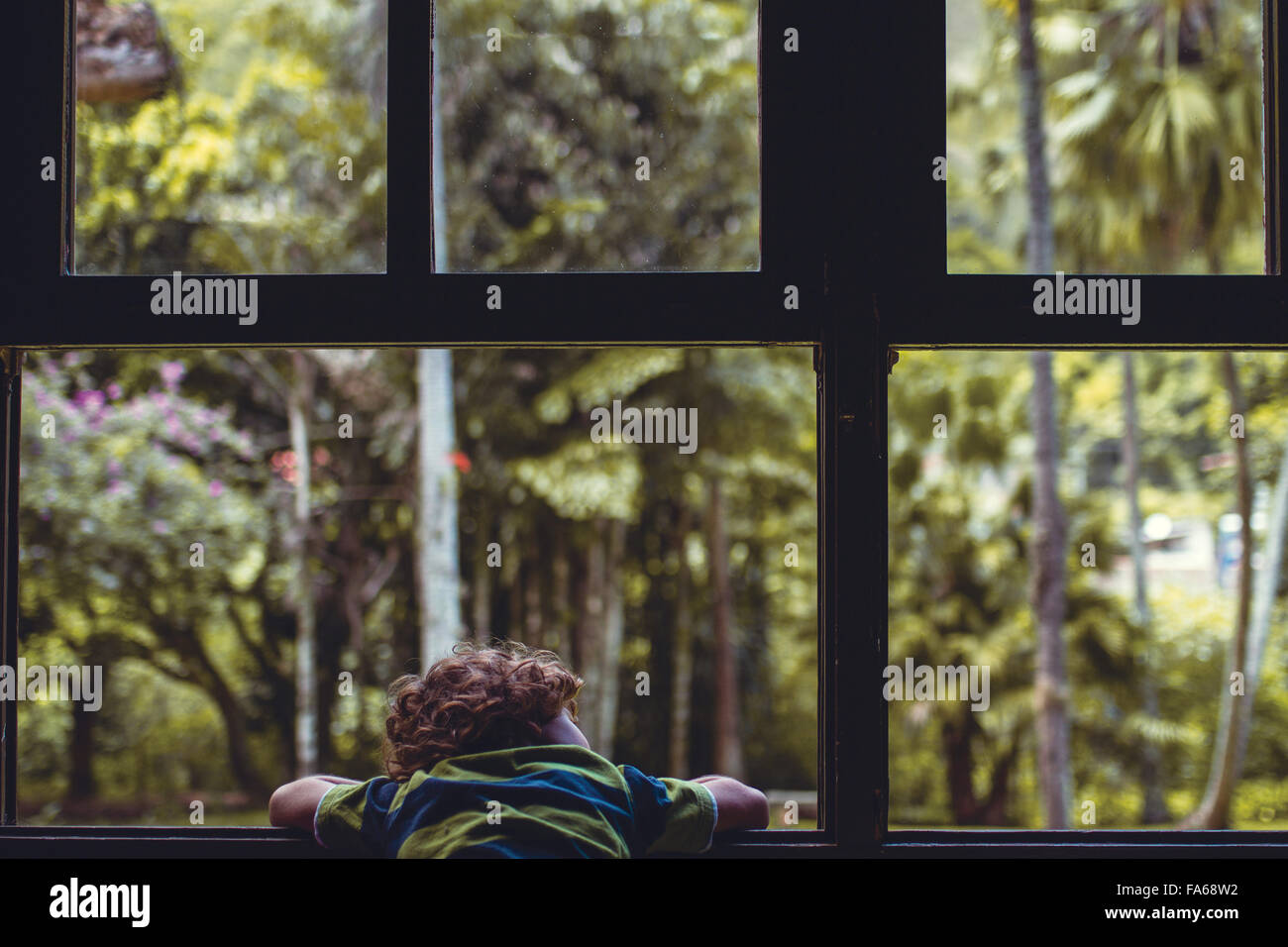 Boy looking through window Stock Photo - Alamy