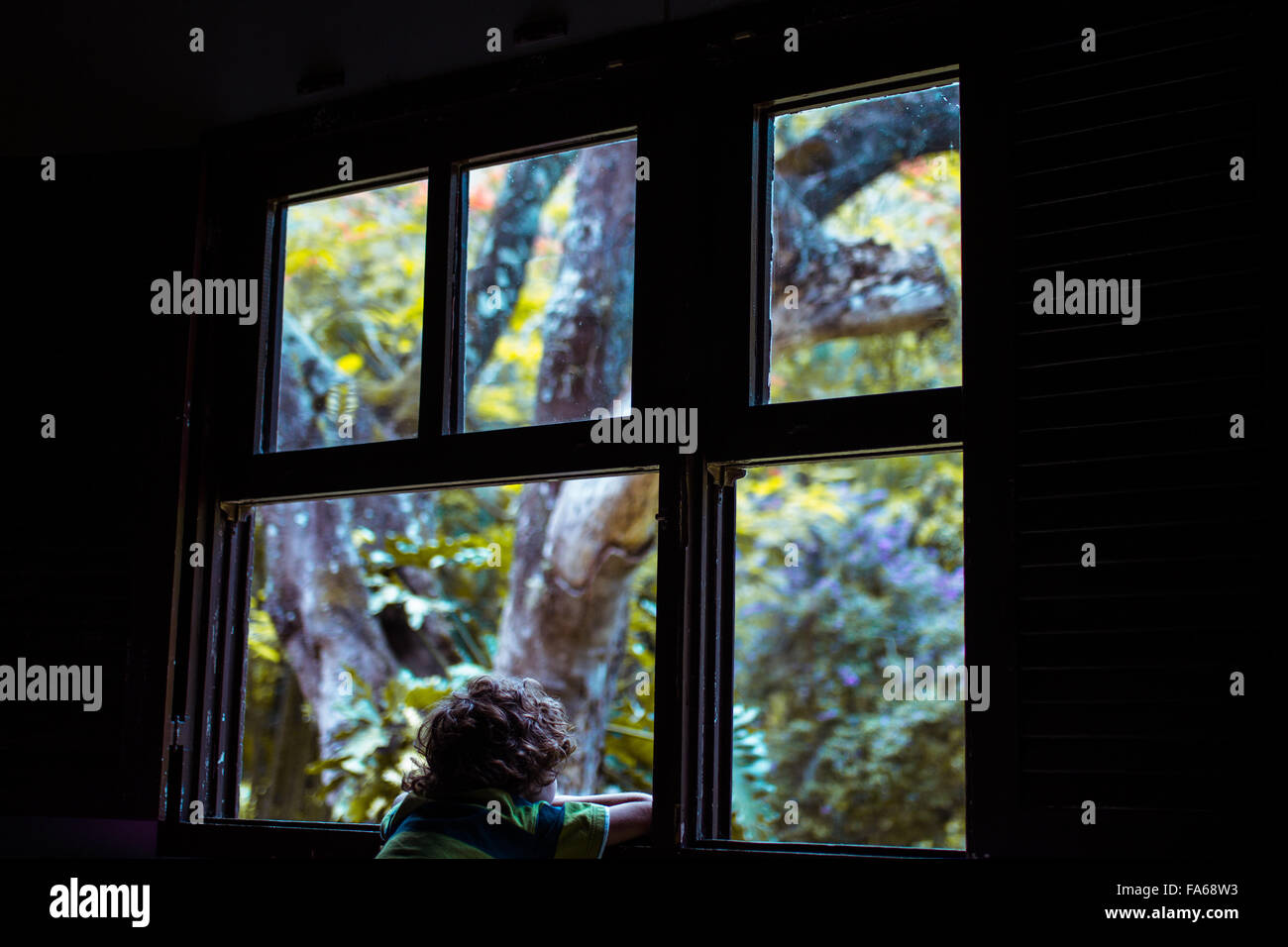 Boy looking through window Stock Photo - Alamy