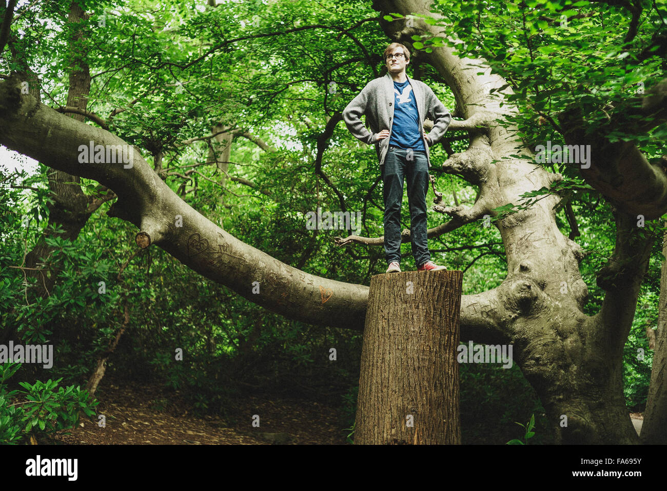 A young man standing on a tall tree stump Stock Photo - Alamy