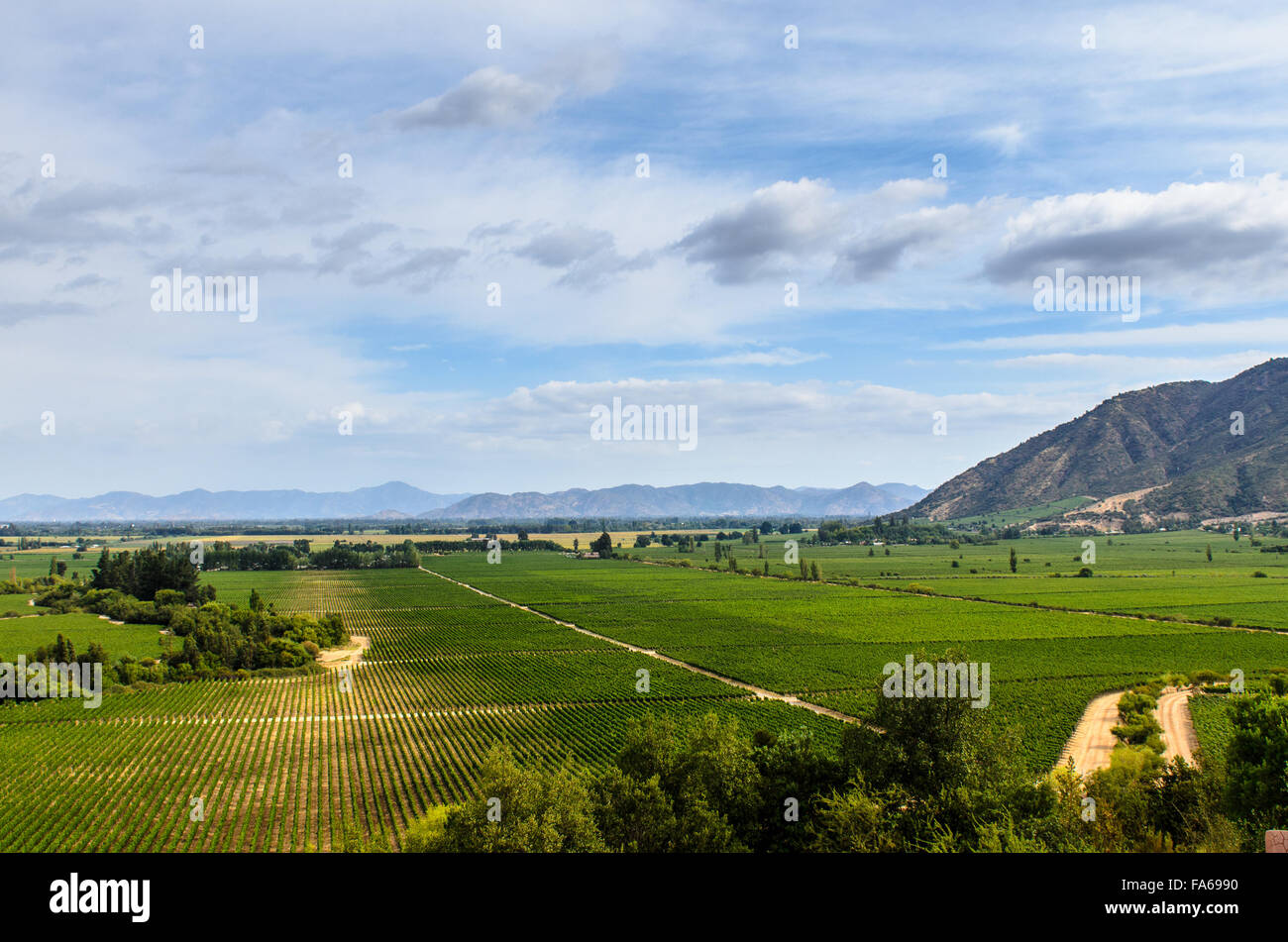 Crop field chile hi-res stock photography and images - Alamy