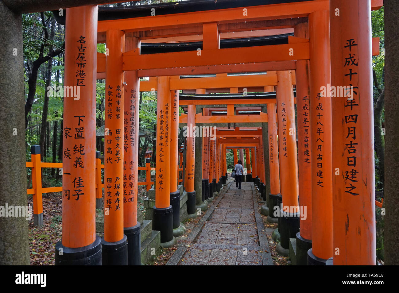Red torii gates in a forest at Fushimi-Inari Taisha Shinto Shrine ...