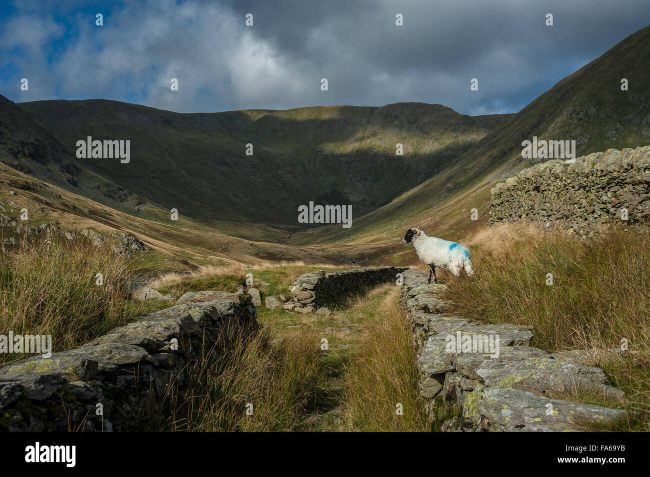 The Head of Kentmere Stock Photo - Alamy