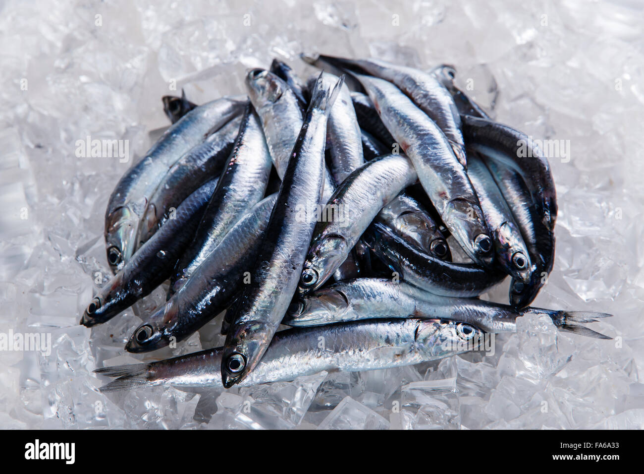 fresh raw fish anchovy on ice seafood Stock Photo - Alamy
