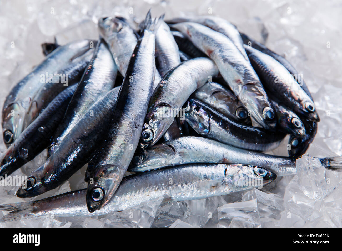 fresh raw fish anchovy on ice seafood Stock Photo - Alamy