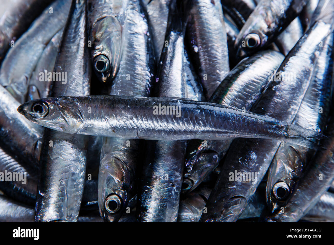 Silver anchovy hi-res stock photography and images - Alamy