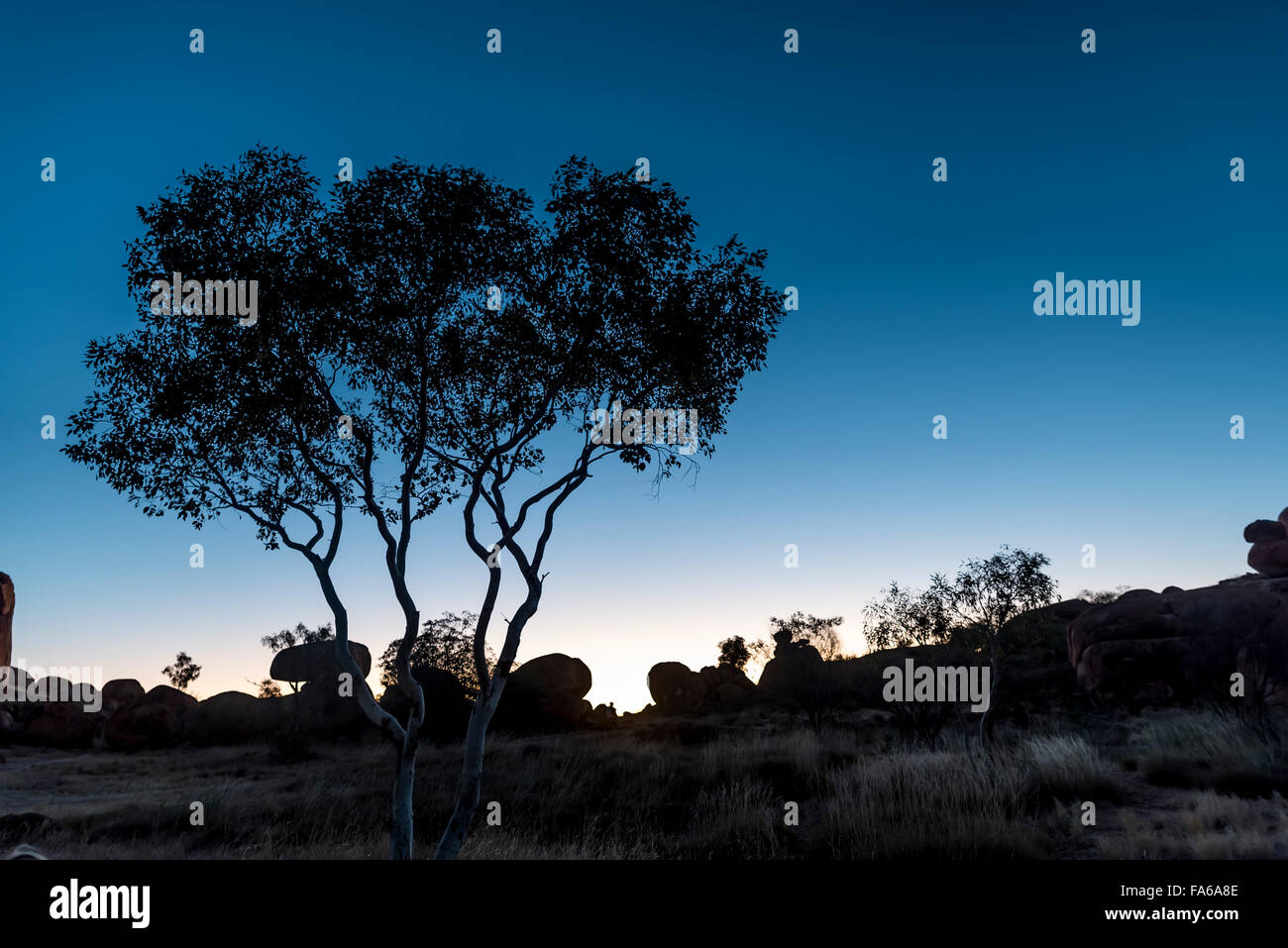 Tree silhouette in australian outback hi-res stock photography and ...