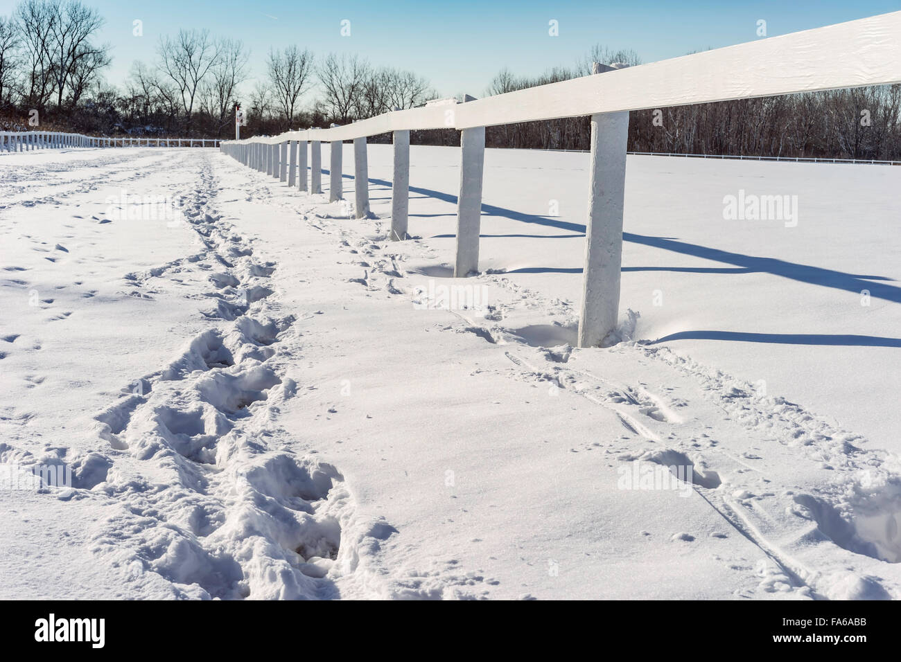 Footprints in the snow along wooden fence Stock Photo - Alamy