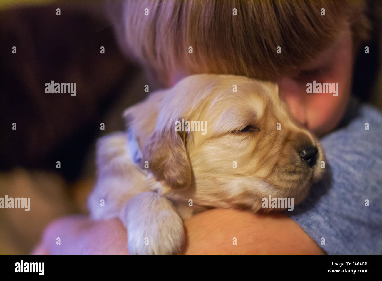 Child hugging dog hi-res stock photography and images - Alamy