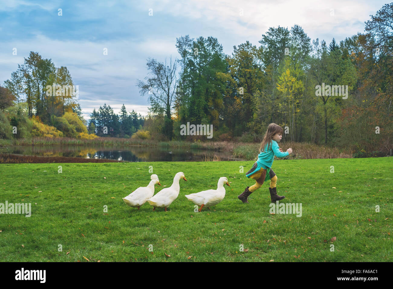 Chased by animals hi-res stock photography and images - Alamy