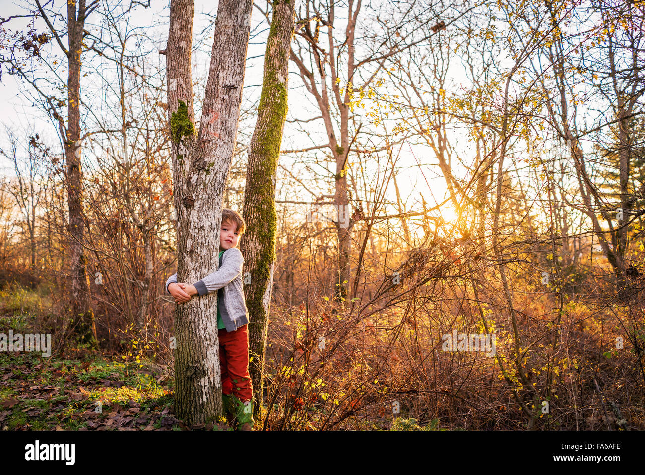 Boy hugging a tree in the forest Stock Photo - Alamy