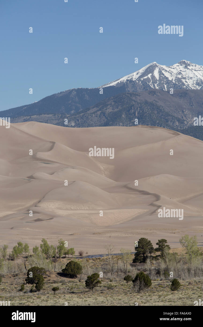 Great Sand Dunes National Park and Preserve, sand dunes (foreground ...