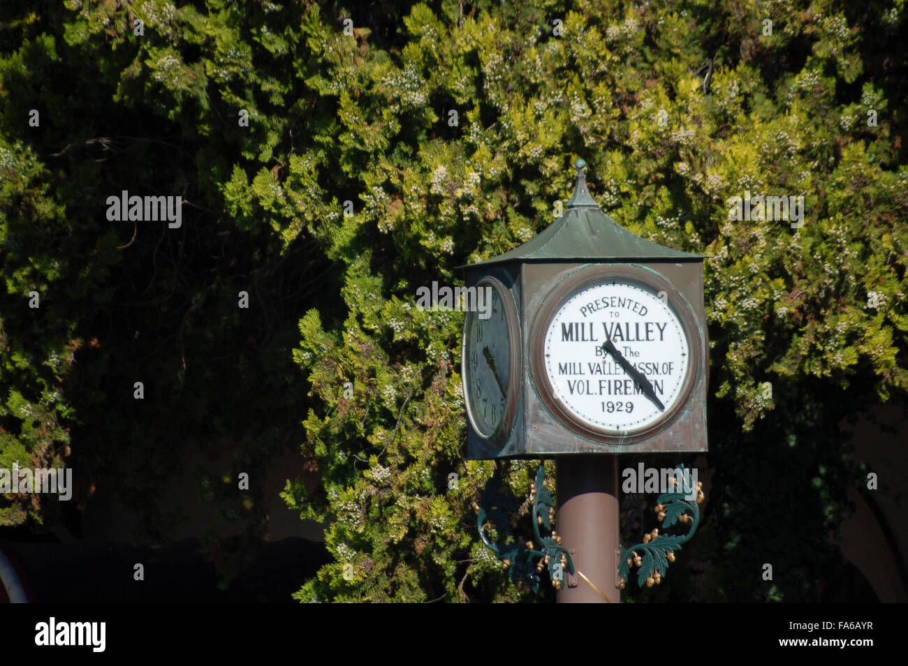 Vintage presentation clock in Mill Valley, California, with trees in ...