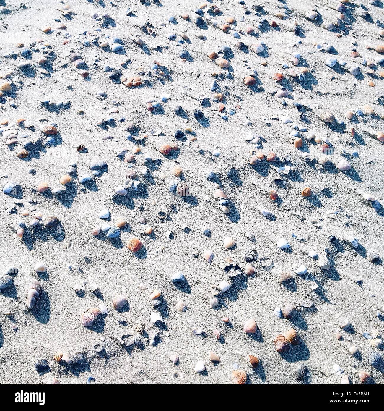 Romania beach hi-res stock photography and images - Alamy