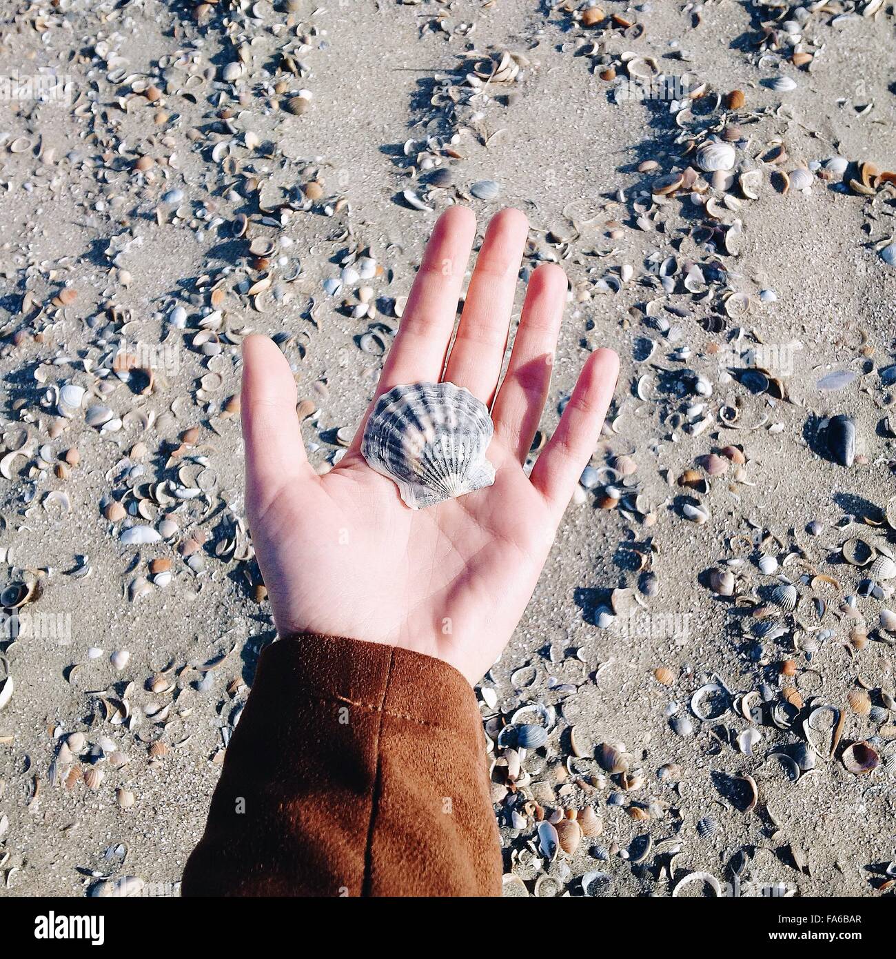 Constanta romania people hi-res stock photography and images - Alamy