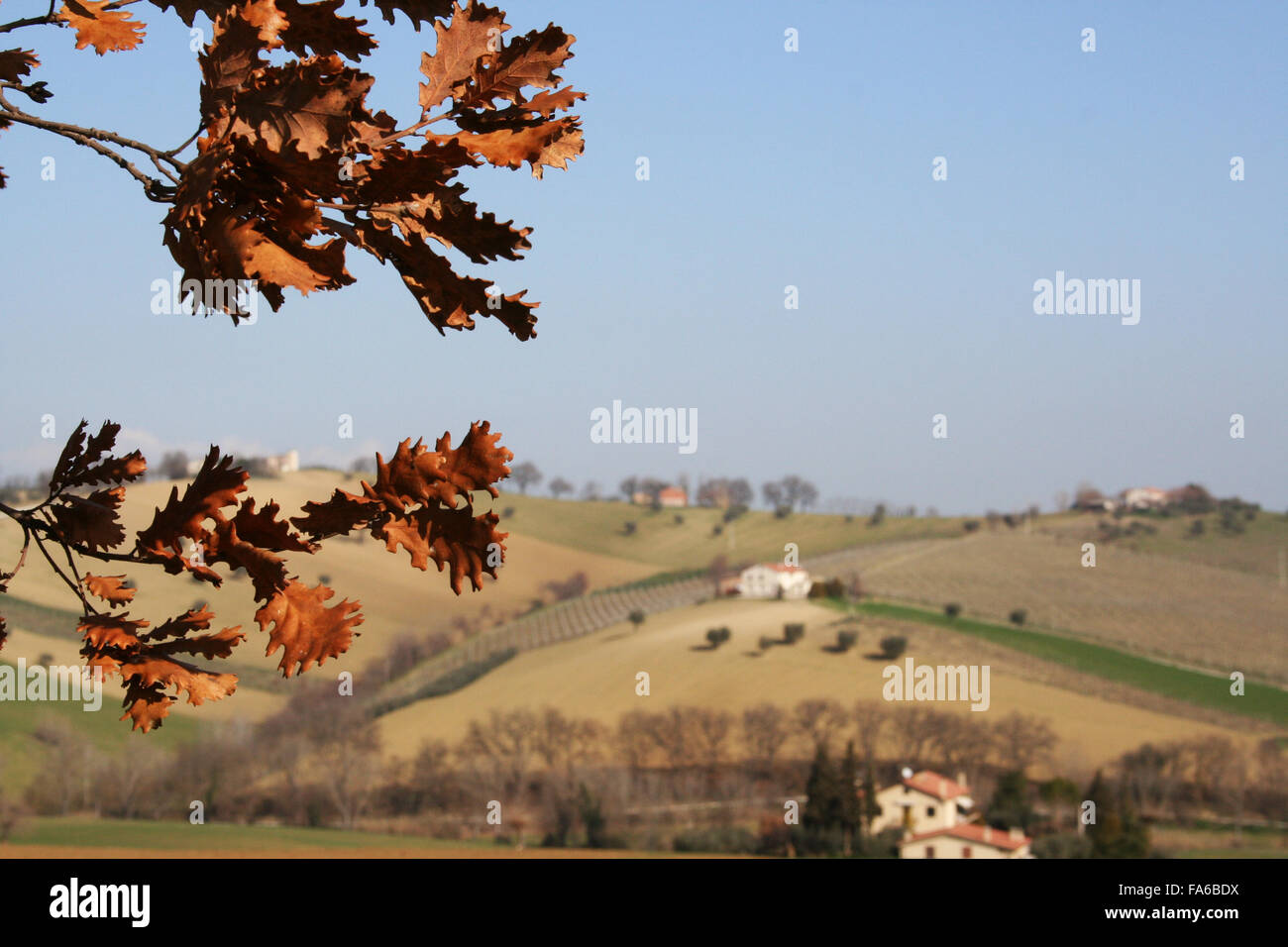 Marche landscape hi-res stock photography and images - Alamy