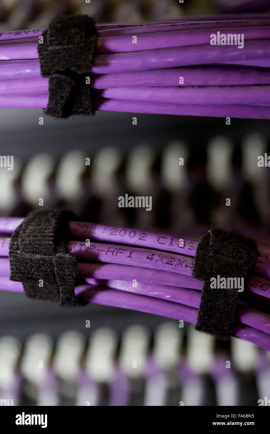 close up shot of blue server cables in a server room Stock Photo - Alamy
