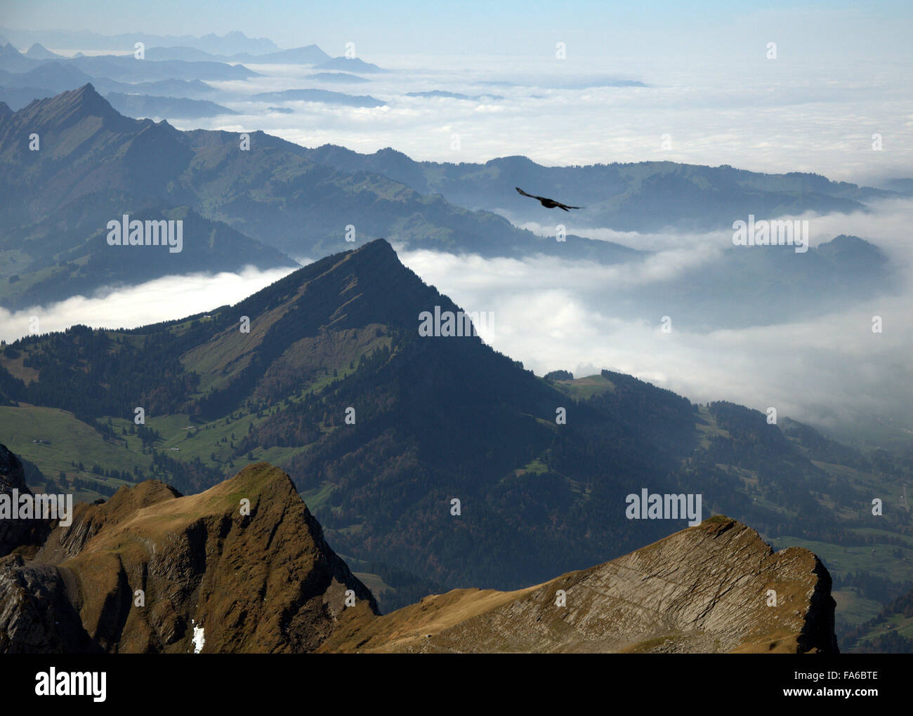 Flying above the alps hi-res stock photography and images - Alamy