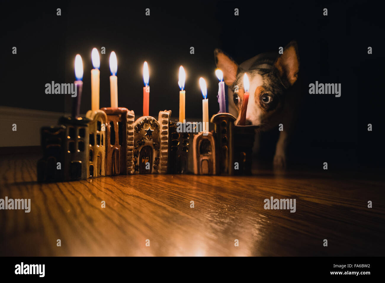 Hanukkah menorah candles burning hi-res stock photography and images ...