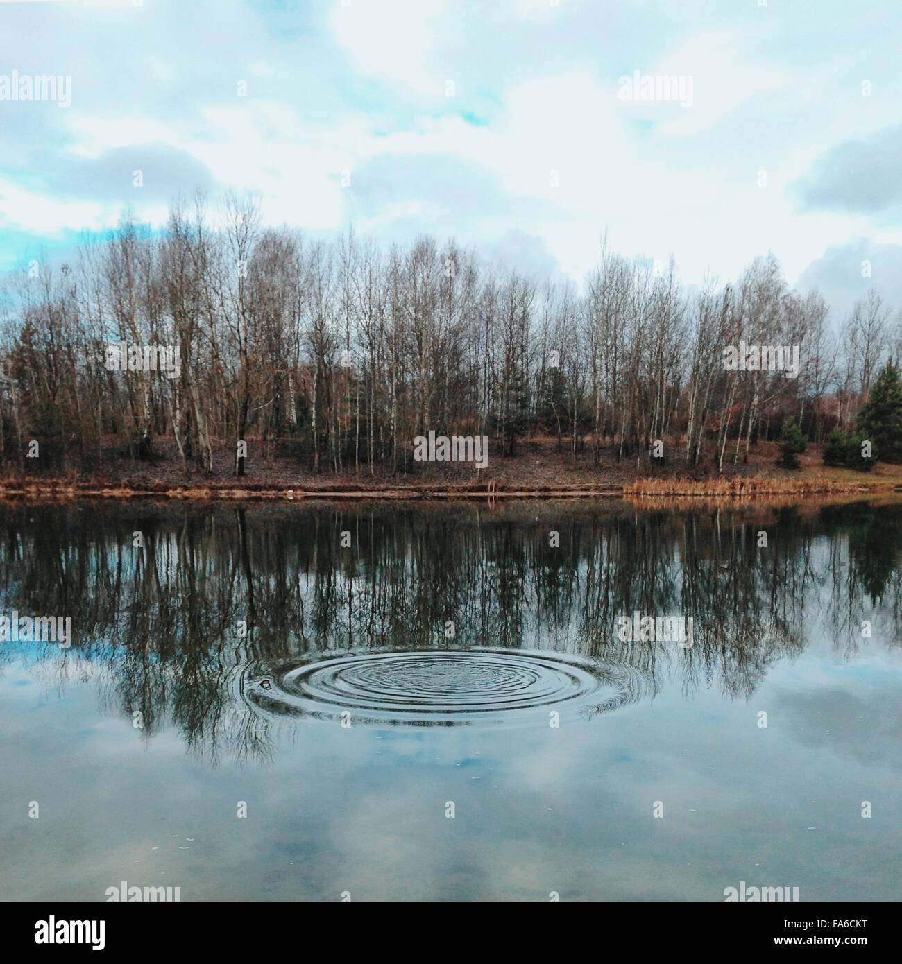 Concentric circles in nature hi-res stock photography and images - Alamy